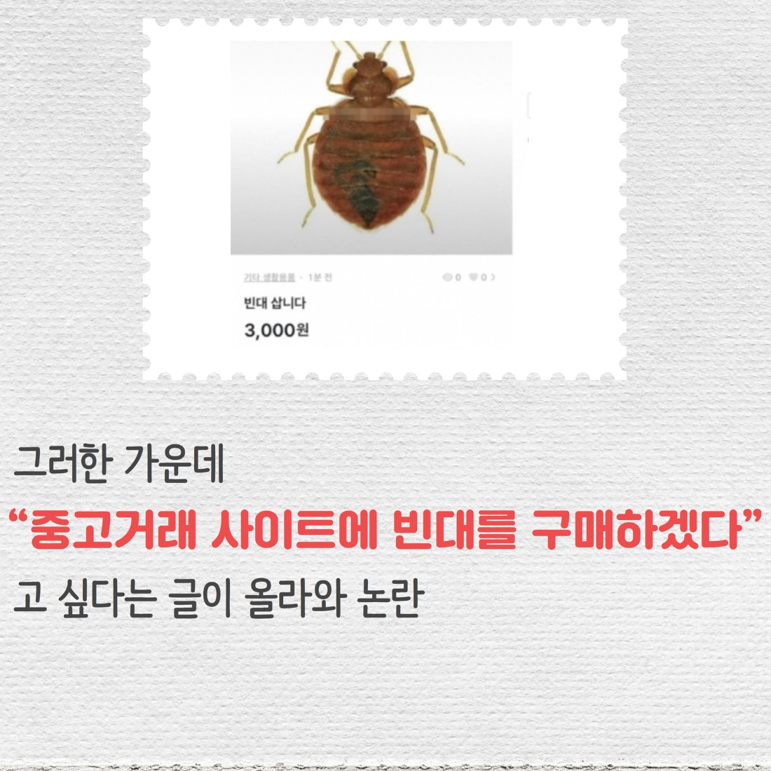 르데스크 - [Le Visual] 충격의 ‘빈대 매입’ 게시물, 밝혀진 사용처가 ‘더 충격’