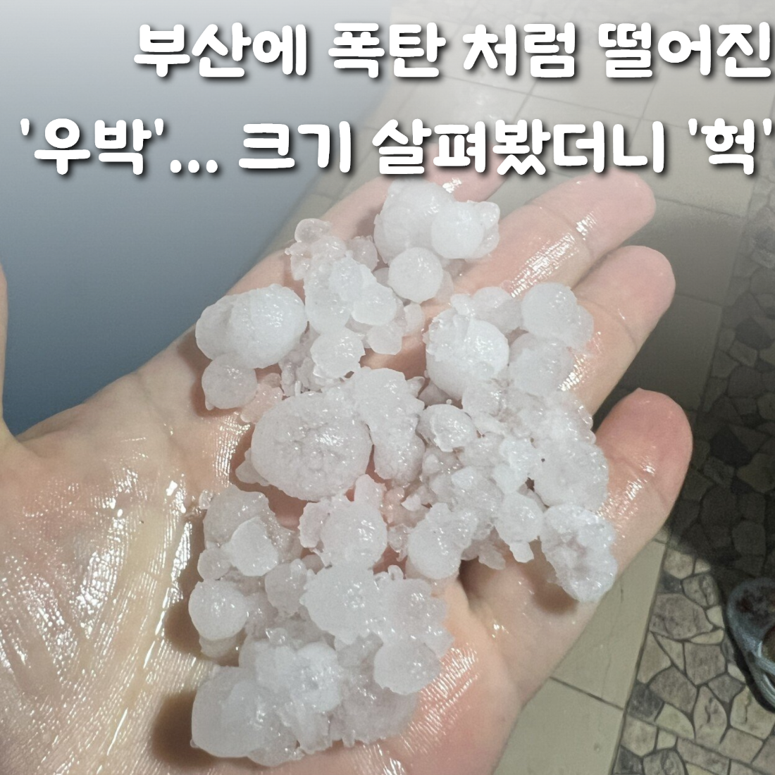 르데스크 - [Le Visual]“폭탄 떨어지는 줄” 갑자기 내린 우박에 부산 시민들 화들짝